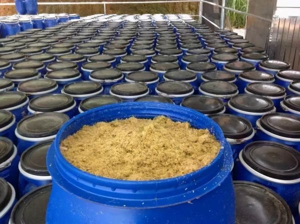 豆渣发酵多久能当肥料_豆渣沤肥需要多长时间-第1张图片-山城妙识