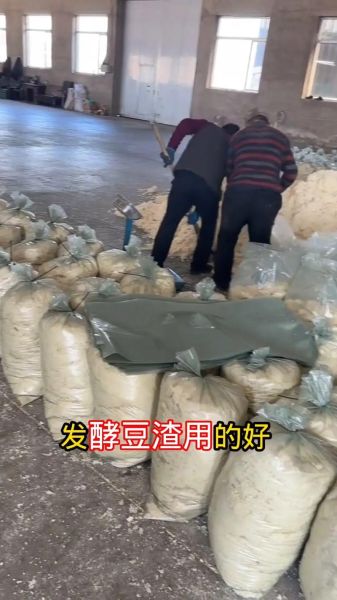 豆渣发酵多久能当肥料_豆渣沤肥需要多长时间-第2张图片-山城妙识