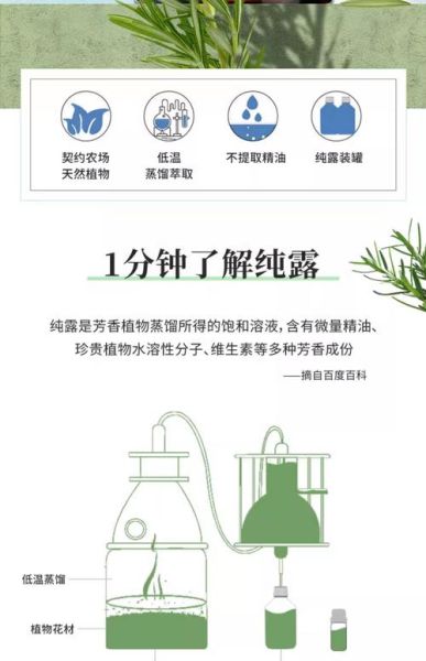 马鞭草酮迷迭香纯露的功效与作用_怎么用效果最好-第2张图片-山城妙识