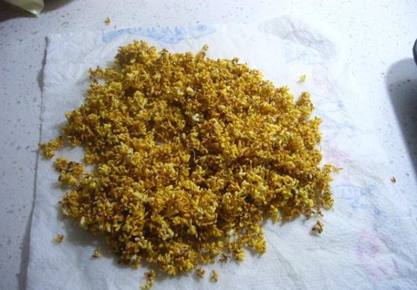 鲜桂花怎么做成干桂花_家庭自制干桂花方法-第3张图片-山城妙识