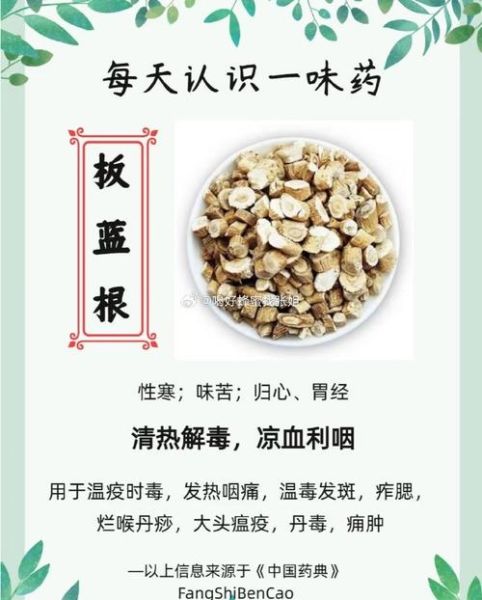 板蓝根喝多了对身体有害吗_板蓝根长期服用的副作用-第3张图片-山城妙识