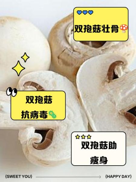 双孢菇的功效与作用_双孢菇怎么吃最营养-第1张图片-山城妙识