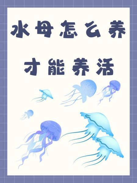 淡水水母怎么养_淡水水母有毒吗-第1张图片-山城妙识