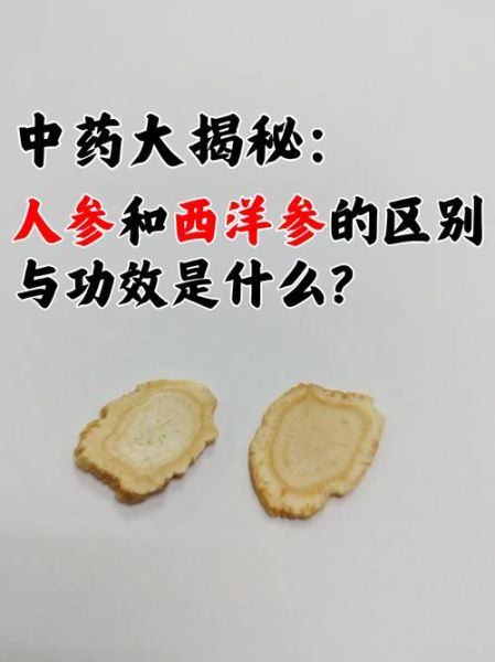 白参和西洋参的区别_哪个更适合日常滋补-第1张图片-山城妙识