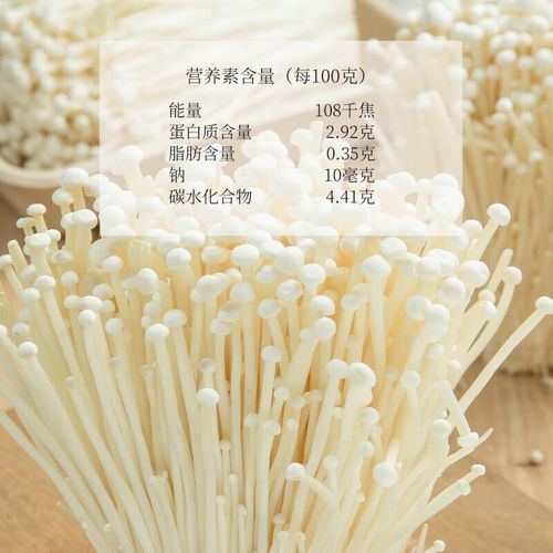 金针菇图片大全大图_如何挑选新鲜金针菇-第3张图片-山城妙识