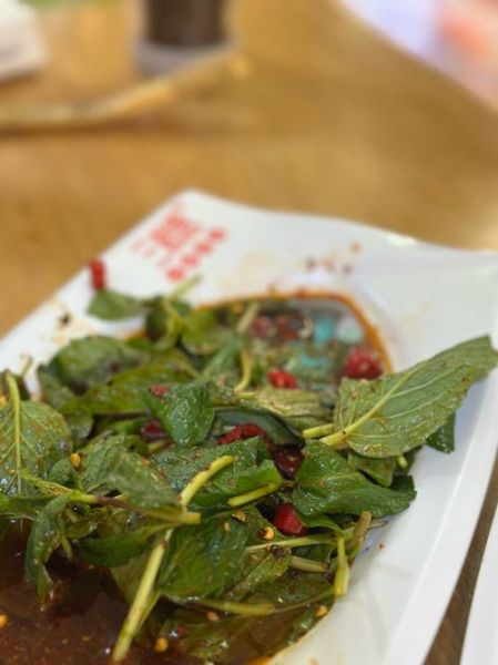 薄荷叶做菜的做法大全_薄荷叶怎么做好吃-第1张图片-山城妙识