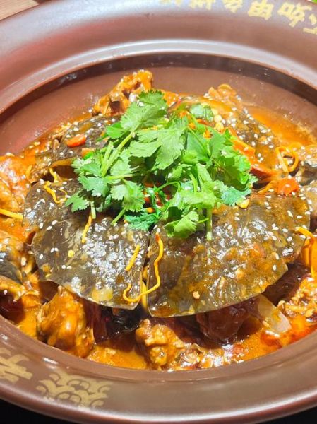 甲鱼炖鸡汤的做法_甲鱼炖鸡汤怎么炖不腥-第1张图片-山城妙识 甲鱼炖鸡汤的做法_甲鱼炖鸡汤怎么炖不腥-第1张图片-山城妙识