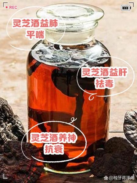 灵芝泡酒的功效与作用_灵芝泡酒怎么泡才有效-第2张图片-山城妙识