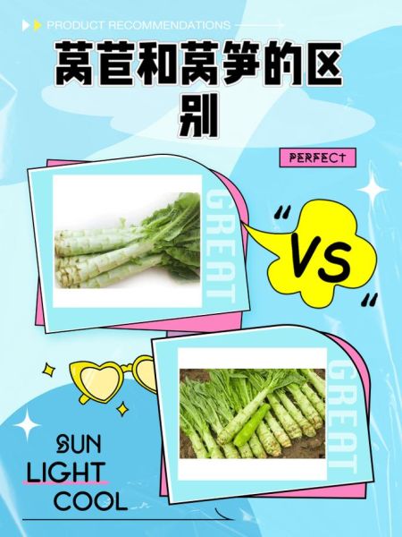 莴苣和莴笋一样吗_区别与吃法全解析-第1张图片-山城妙识