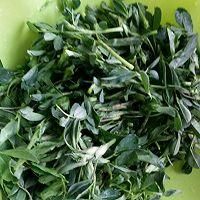 苜蓿粉怎么做好吃_苜蓿粉吃法大全-第1张图片-山城妙识