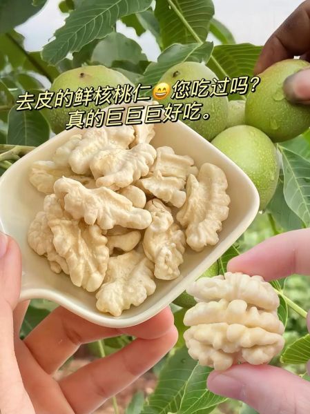 鲜核桃的营养价值_鲜核桃一天吃多少合适-第1张图片-山城妙识 鲜核桃的营养价值_鲜核桃一天吃多少合适-第1张图片-山城妙识