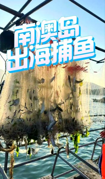 深海捕鱼技巧_深海捕鱼能赚钱吗-第1张图片-山城妙识