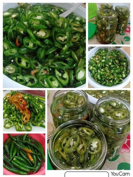 青辣椒怎么腌制_腌制青辣椒的正确方法-第3张图片-山城妙识 青辣椒怎么腌制_腌制青辣椒的正确方法-第3张图片-山城妙识