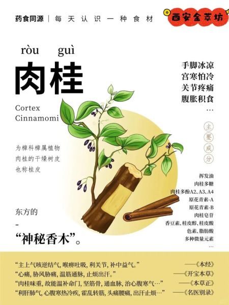 肉桂和桂皮的区别_哪个更适合炖肉-第1张图片-山城妙识 肉桂和桂皮的区别_哪个更适合炖肉-第1张图片-山城妙识