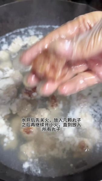 鸡肉水汆丸子怎么做_鸡肉水汆丸子为什么嫩滑-第3张图片-山城妙识