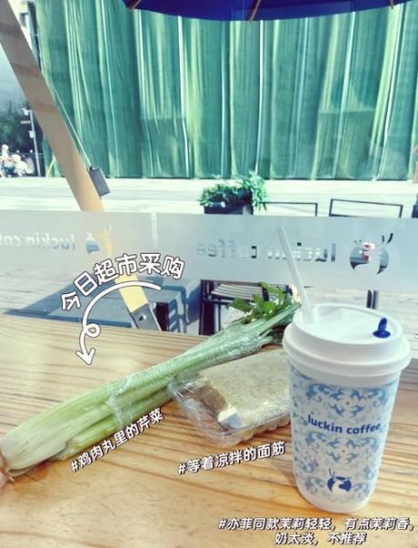 鸡肉水汆丸子怎么做_鸡肉水汆丸子为什么嫩滑-第1张图片-山城妙识