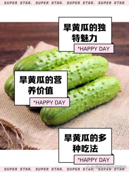 旱黄瓜怎么种_旱黄瓜与普通黄瓜区别-第1张图片-山城妙识