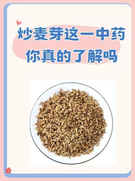 生麦芽的功效与作用及禁忌_生麦芽怎么吃最养肝-第3张图片-山城妙识