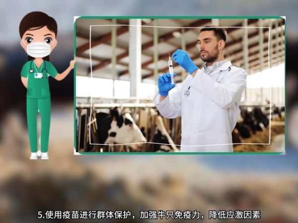 牛肺结核病症状_牛肺结核病能治好吗-第1张图片-山城妙识