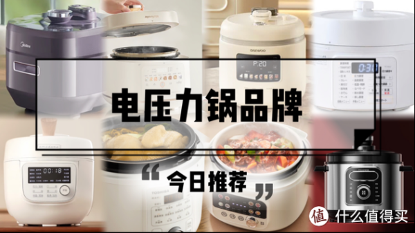 电高压锅哪个牌子好_电高压锅十大品牌排名-第2张图片-山城妙识