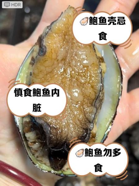鲍鱼哪些部位不能吃_鲍鱼内脏清理图解-第2张图片-山城妙识