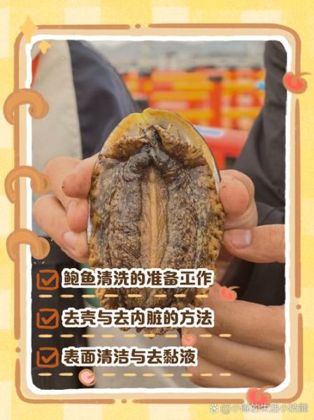 鲍鱼哪些部位不能吃_鲍鱼内脏清理图解-第3张图片-山城妙识