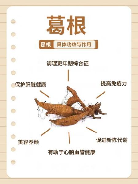 经常喝葛根粉的好处有哪些_葛根粉可以长期喝吗-第1张图片-山城妙识