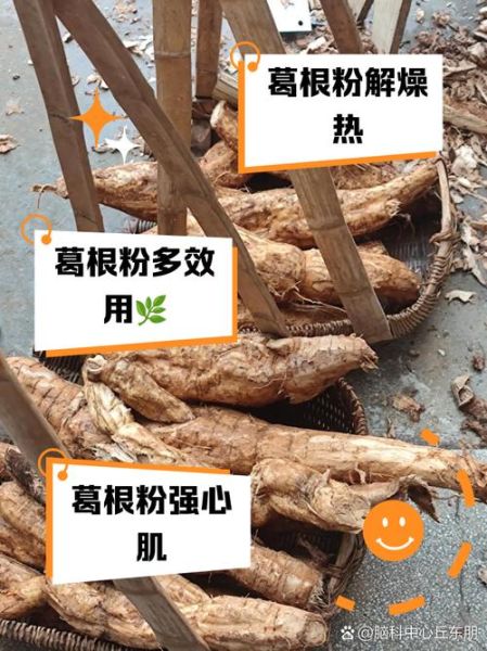 经常喝葛根粉的好处有哪些_葛根粉可以长期喝吗-第2张图片-山城妙识