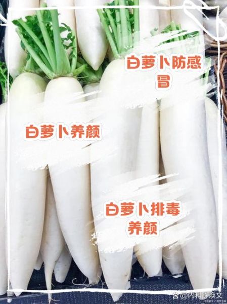 女性吃白萝卜的坏处_白萝卜对女性健康的影响-第2张图片-山城妙识 女性吃白萝卜的坏处_白萝卜对女性健康的影响-第2张图片-山城妙识