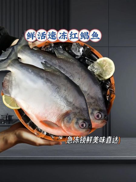 红鲳鱼是淡水鱼吗_红鲳鱼能长多大-第1张图片-山城妙识 红鲳鱼是淡水鱼吗_红鲳鱼能长多大-第1张图片-山城妙识