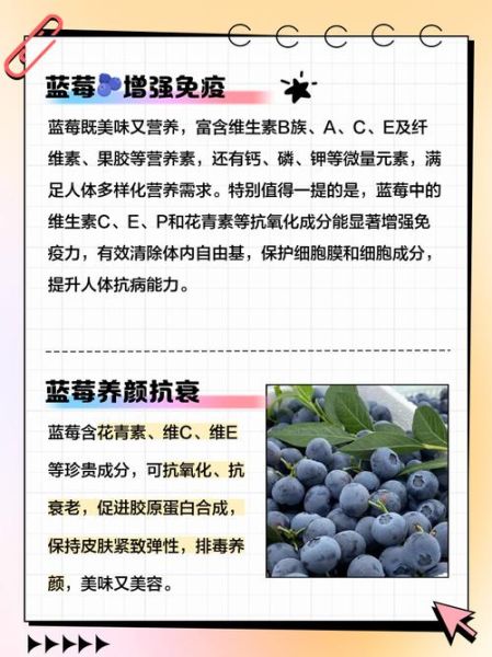 蓝莓对女生的功效与作用_女生吃蓝莓有哪些好处-第2张图片-山城妙识