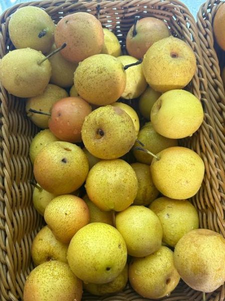 南果梨热量是多少_减肥能吃吗-第1张图片-山城妙识