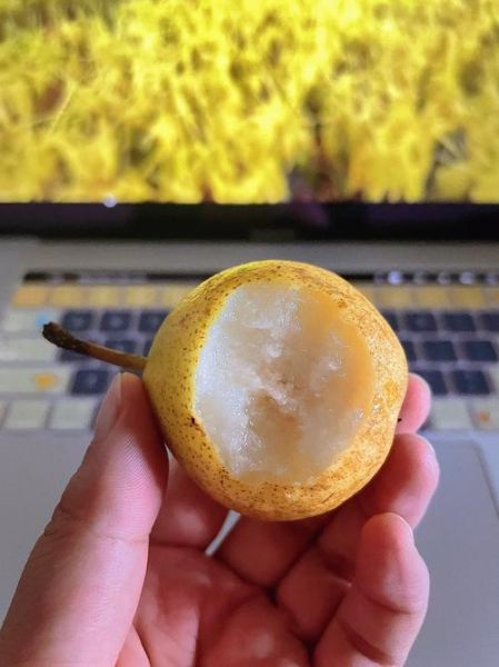 南果梨热量是多少_减肥能吃吗-第3张图片-山城妙识