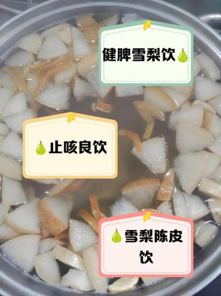 冰糖雪梨怎么做饮料_冰糖雪梨饮料的做法步骤-第1张图片-山城妙识