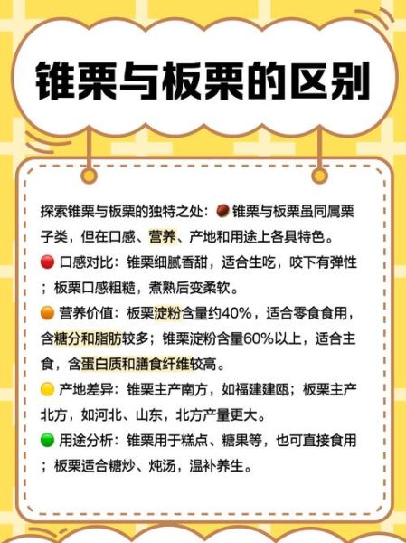 锥栗为什么比板栗贵_锥栗和板栗的区别-第1张图片-山城妙识