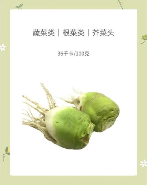 芥菜头长什么样子_芥菜头图片怎么认-第1张图片-山城妙识