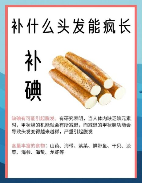 防脱发吃什么食物好_哪些食物能防止掉发-第3张图片-山城妙识