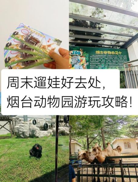 动物园里有什么动物_怎么带孩子玩-第1张图片-山城妙识