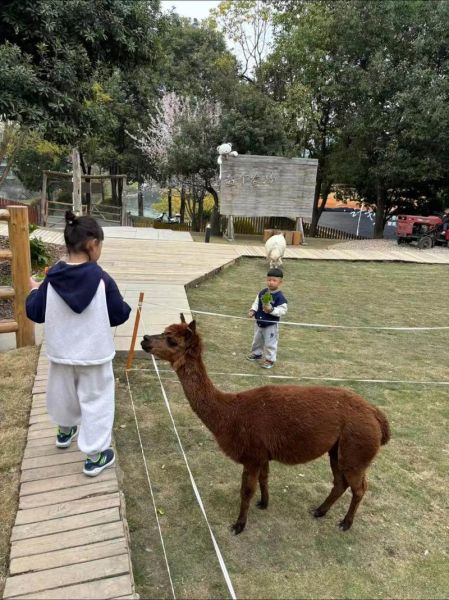 动物园里有什么动物_怎么带孩子玩-第2张图片-山城妙识