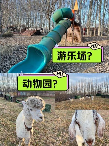 动物园里有什么动物_怎么带孩子玩-第3张图片-山城妙识