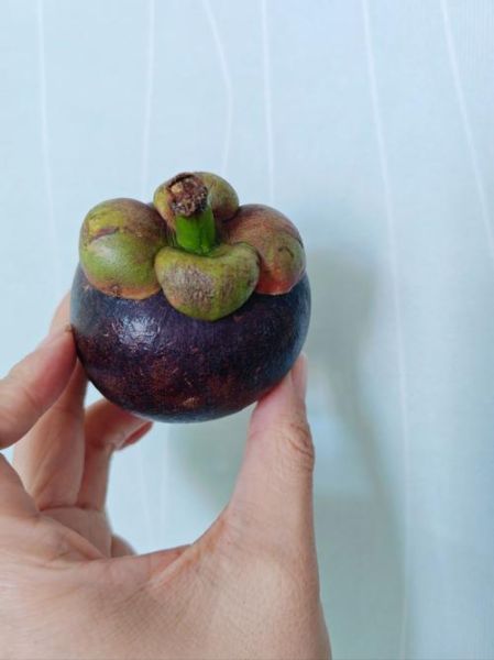 山竹皮怎么去粉刺_山竹皮去粉刺有效吗-第2张图片-山城妙识