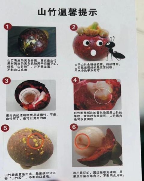 山竹皮怎么去粉刺_山竹皮去粉刺有效吗-第1张图片-山城妙识