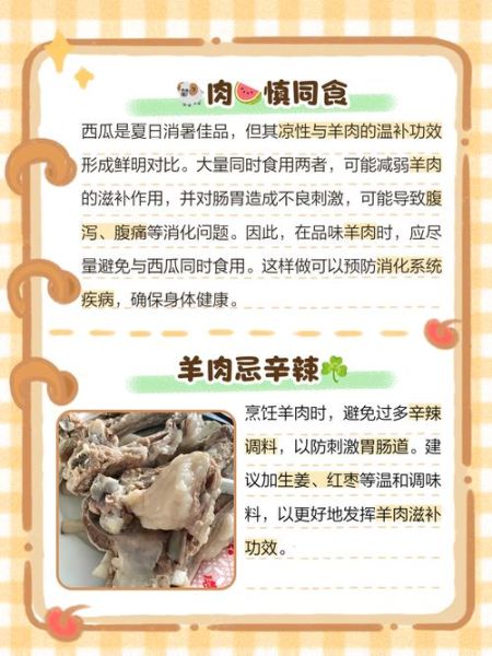 羊肉不能和什么一起吃_羊肉最佳搭配食物-第2张图片-山城妙识