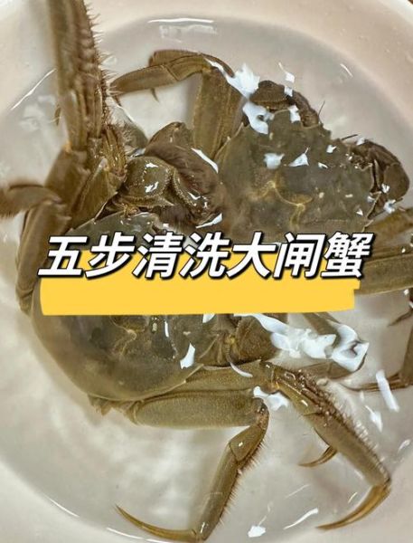 螃蟹怎么洗才干净_螃蟹清洗视频教程-第2张图片-山城妙识