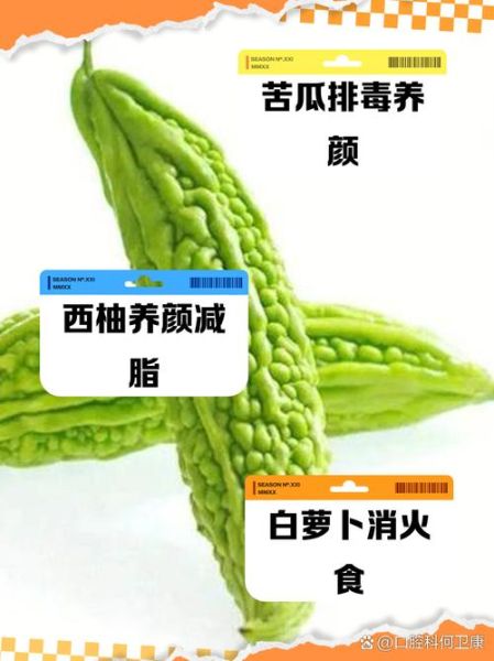 去火的蔬菜有哪些_去火的水果有哪些-第1张图片-山城妙识