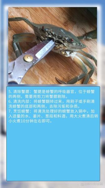 螃蟹怎么洗才干净_螃蟹清洗视频教程-第3张图片-山城妙识
