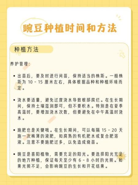 豌豆种植技术与管理_豌豆怎么种才能高产-第1张图片-山城妙识