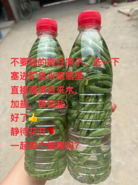豇豆怎么腌制_家常做法步骤-第3张图片-山城妙识