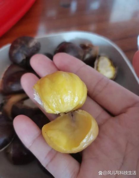 板栗吃了会胖吗_减肥能吃板栗吗-第1张图片-山城妙识