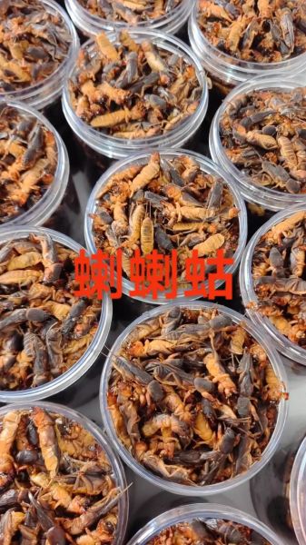 蝼蛄吃什么_蝼蛄食物清单-第1张图片-山城妙识